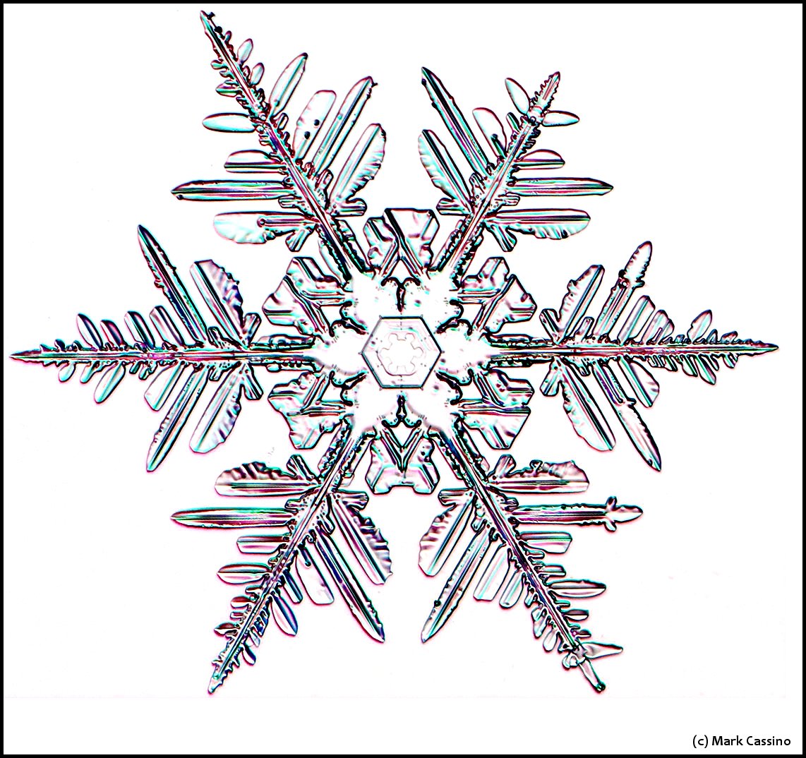 How some snow crystals hide their droplet origin