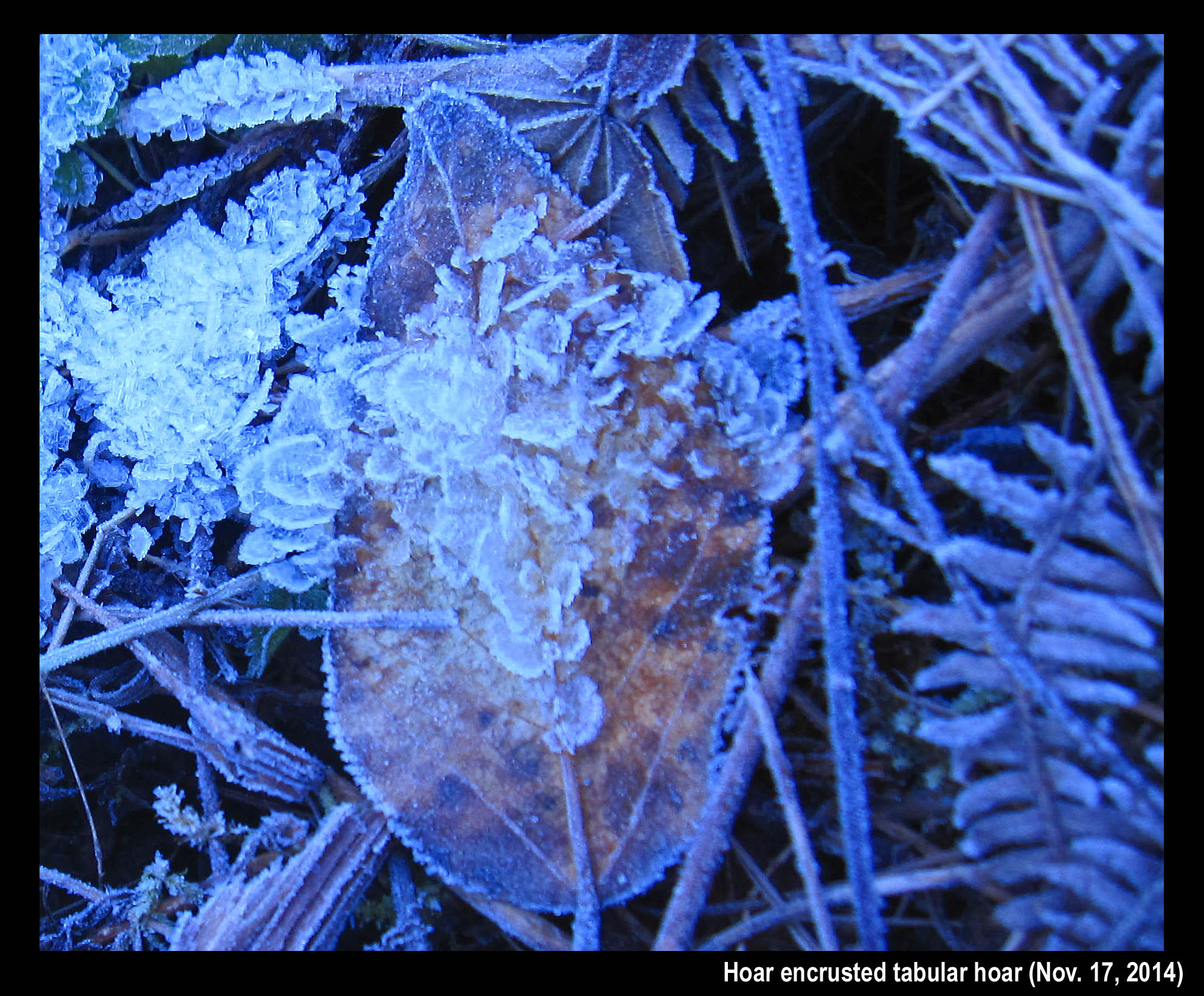 Smaller Hoar Growing on Larger Hoar