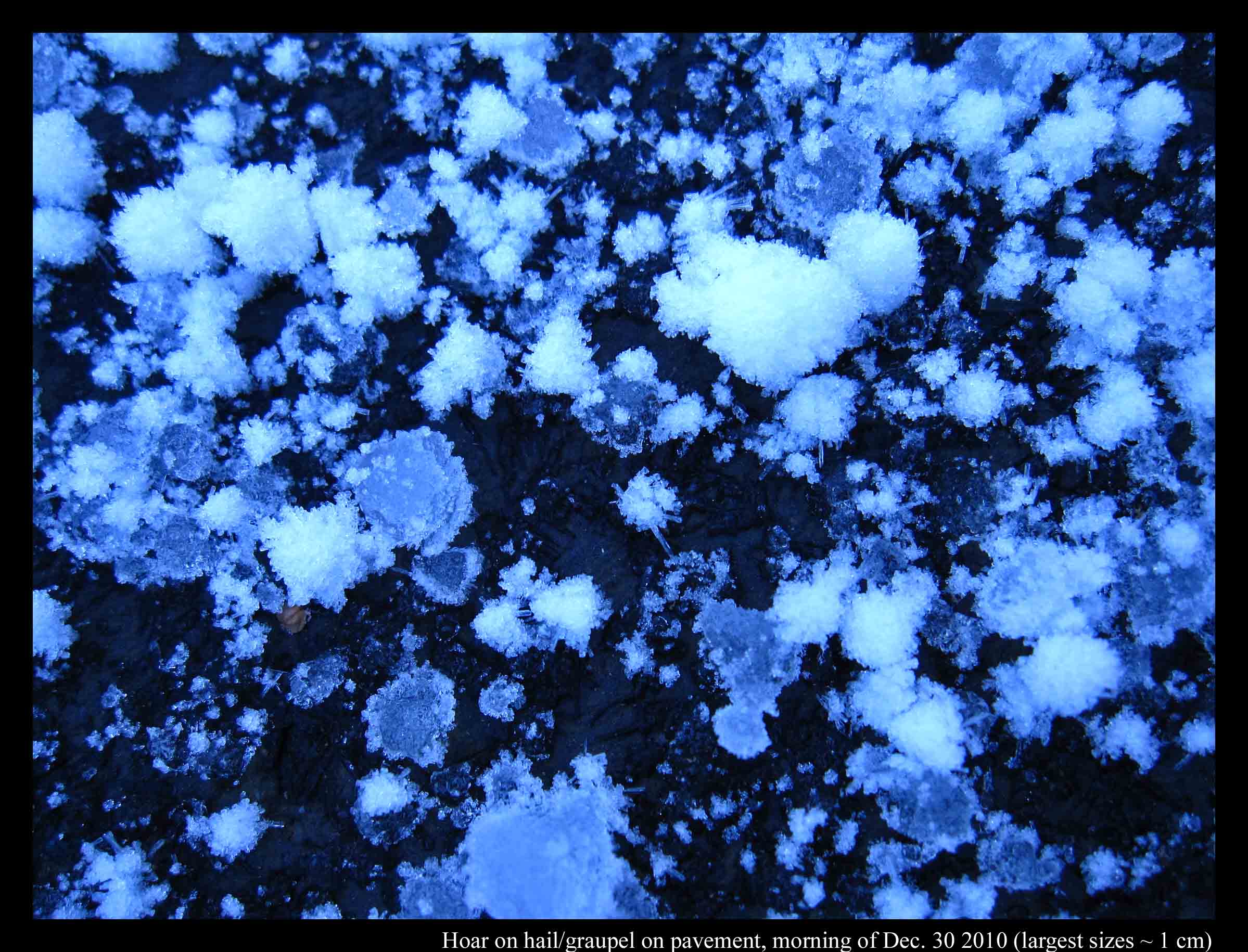 Hoared Hail and Coraline Cups