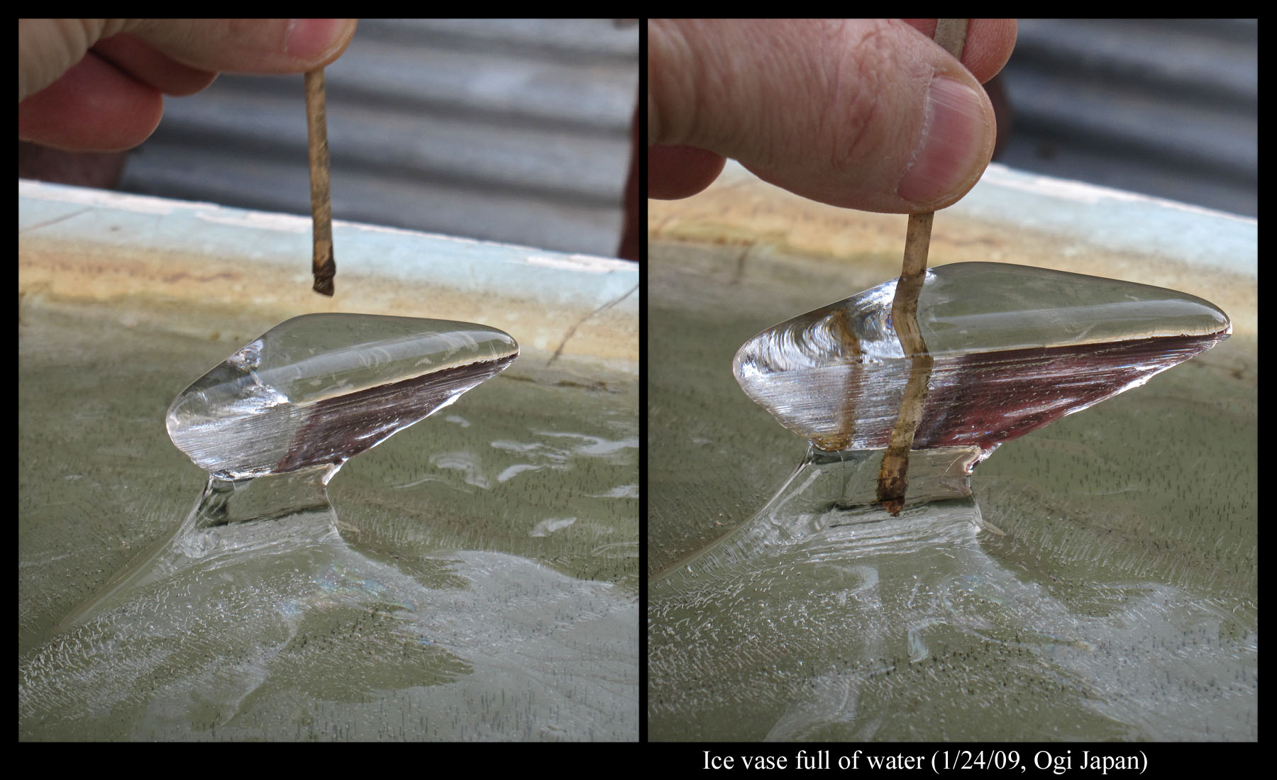 An Ice Vase Sprouts From a Bathtub